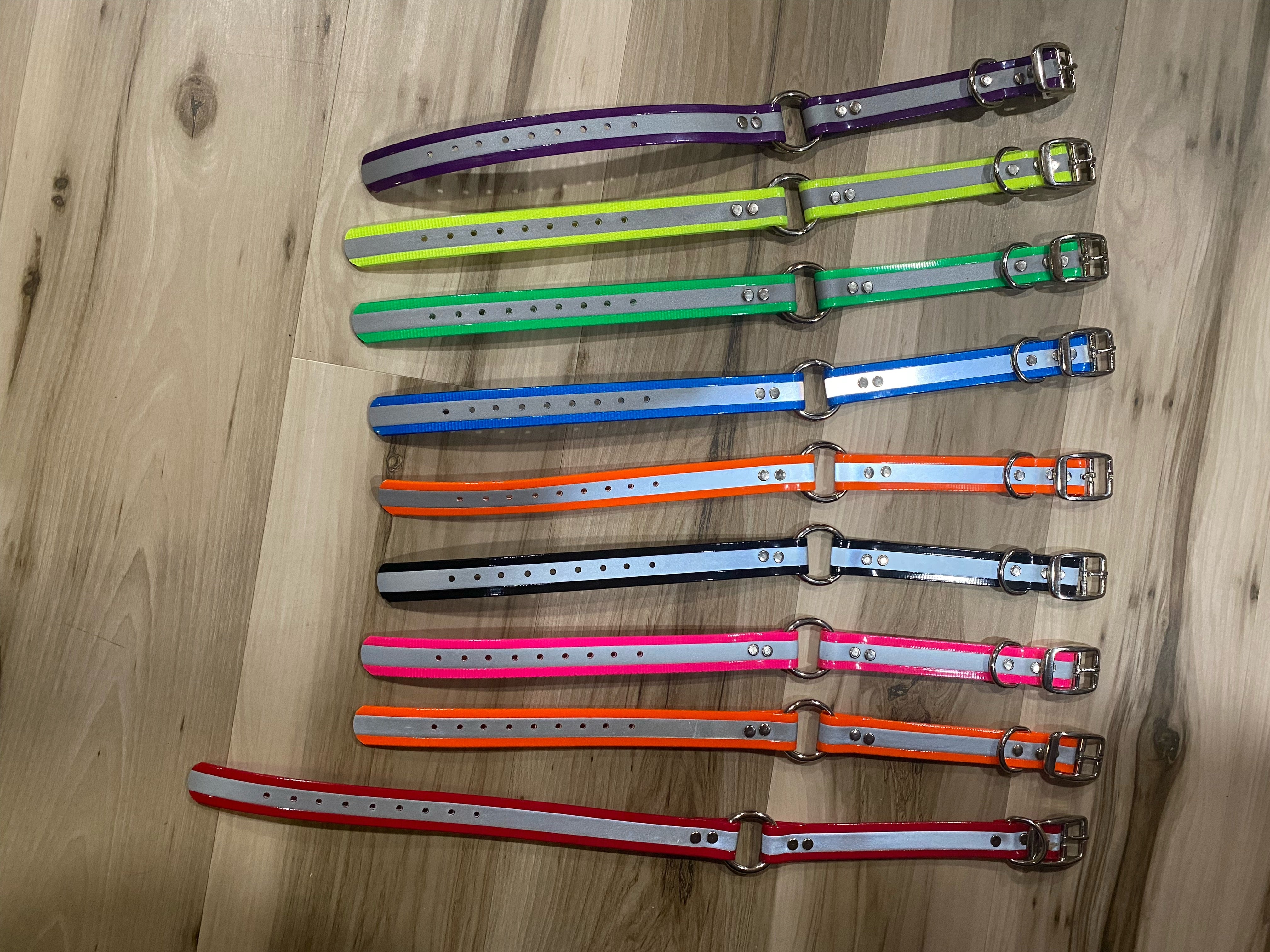Collars with Name Tags & Leads – Red River Hunting Supply - Redgy Ramsey